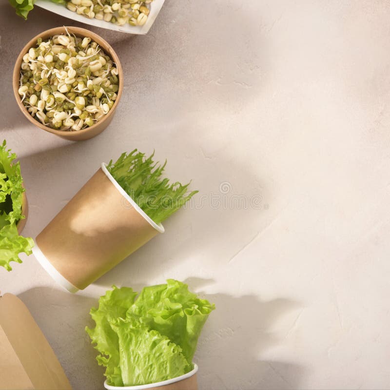 Biodegradable Tableware and Greens on Light Background. Secondary ...