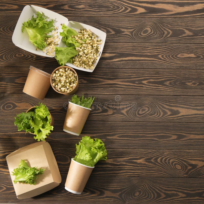 Biodegradable Tableware and Greens on Wooden Background. Secondary ...