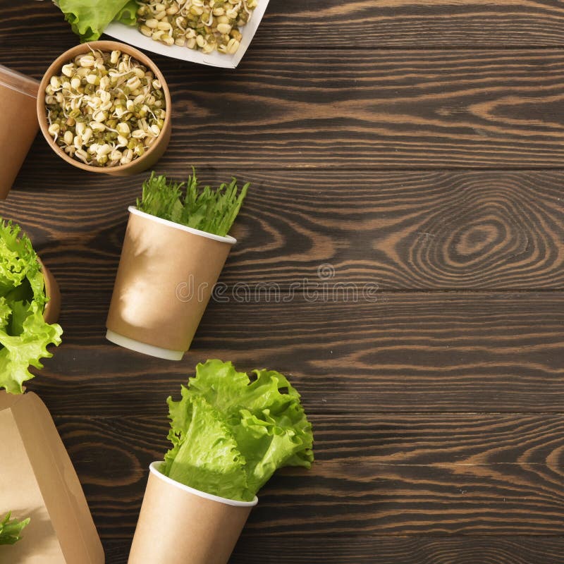Biodegradable Tableware and Greens on Wooden Background. Secondary ...
