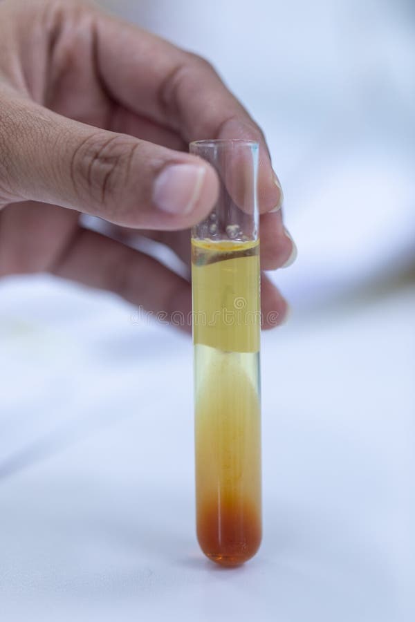 Biodiesel Production is the Process of Producing the Biofuel, Biodiesel ...