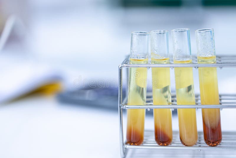 Biodiesel Production is the Process of Producing the Biofuel, Biodiesel ...