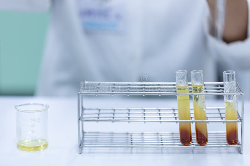 Biodiesel Production is the Process of Producing the Biofuel, Biodiesel ...