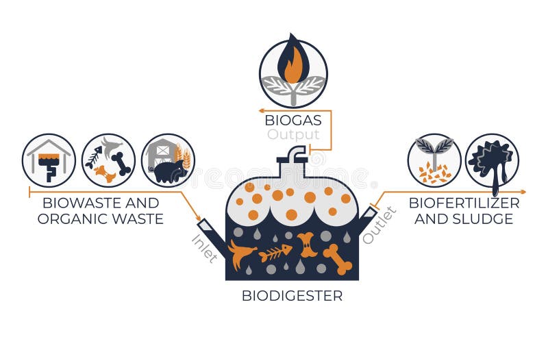 Biogas diagram stock vector. Illustration of waste, infographic - 36146824
