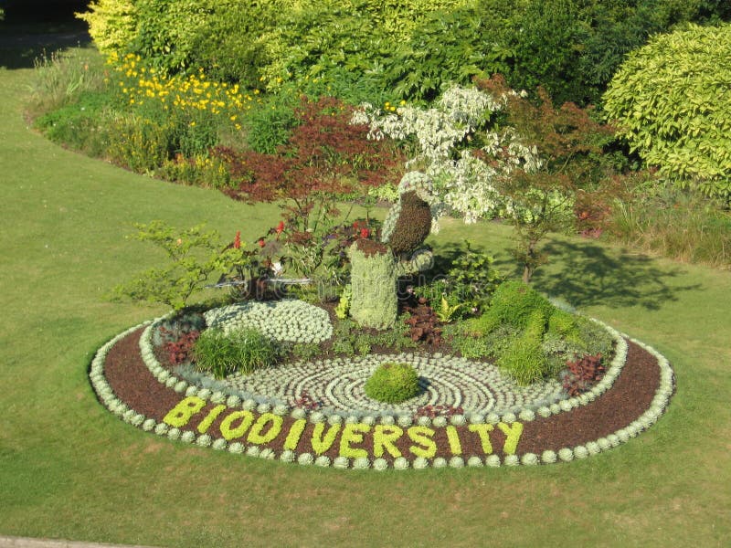 Biodiversidad foto de archivo. Imagen de parque, plantas - 1290092