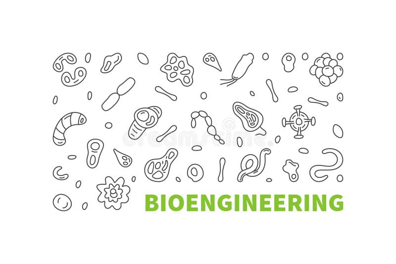 Bioengineering Vector Science Concept Linear Horizontal Banner - Bio ...