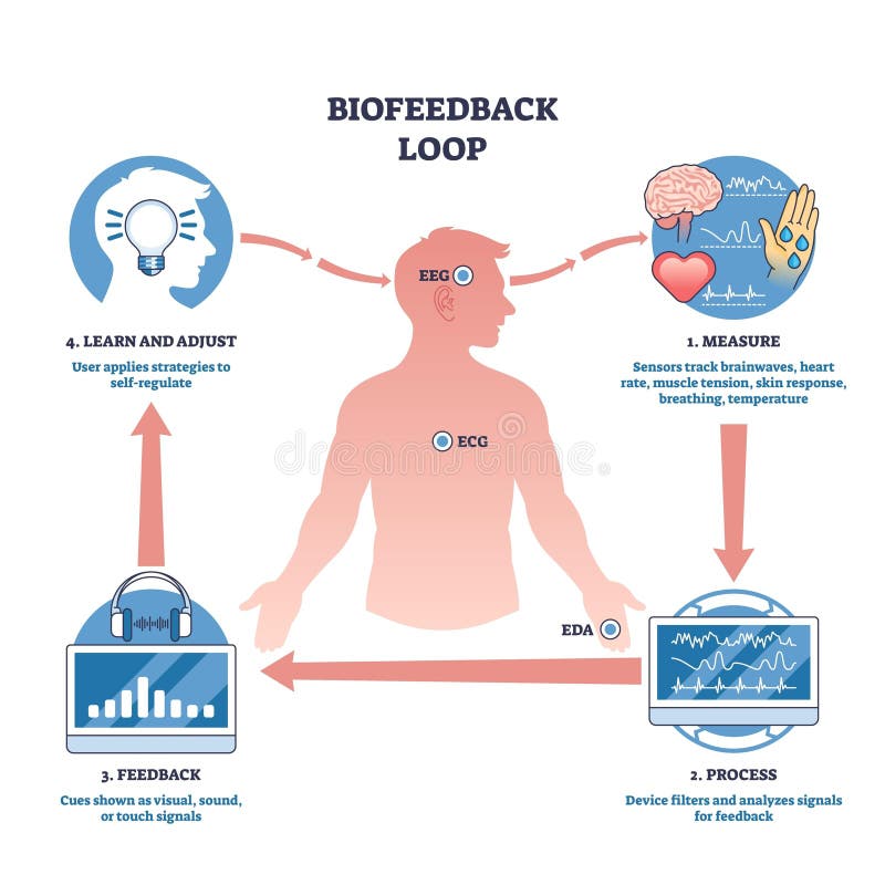 Biofeedback Loop Stock Illustrations – 5 Biofeedback Loop Stock ...
