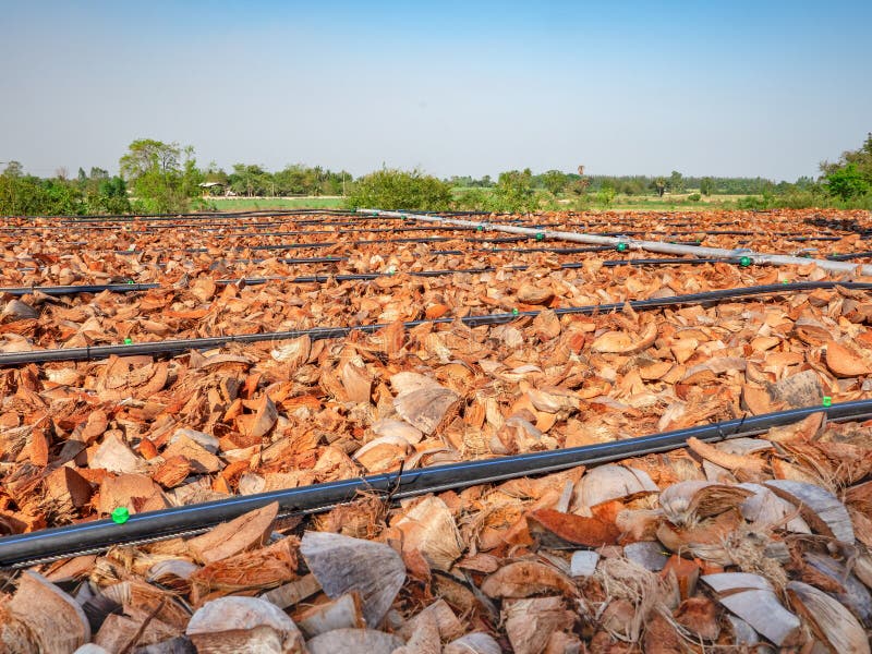 Biofilter with Coconut Husks Stock Photo - Image of land, landscape ...