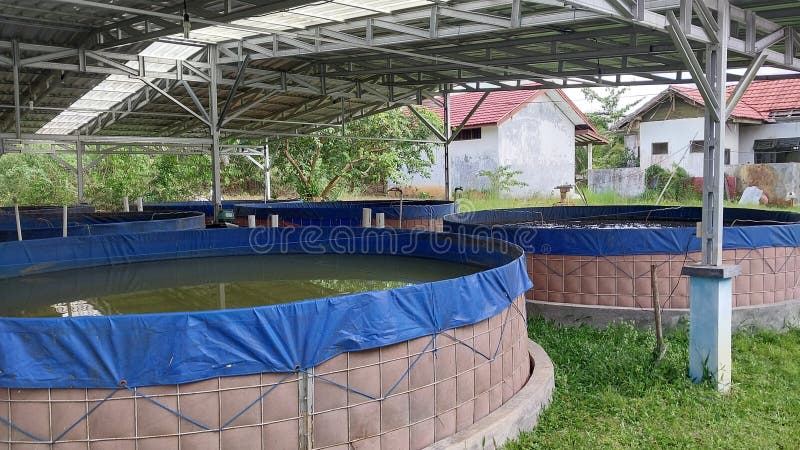 Biofloc Fish Farming Systems or Bio Flocs are Often Used Stock Image ...