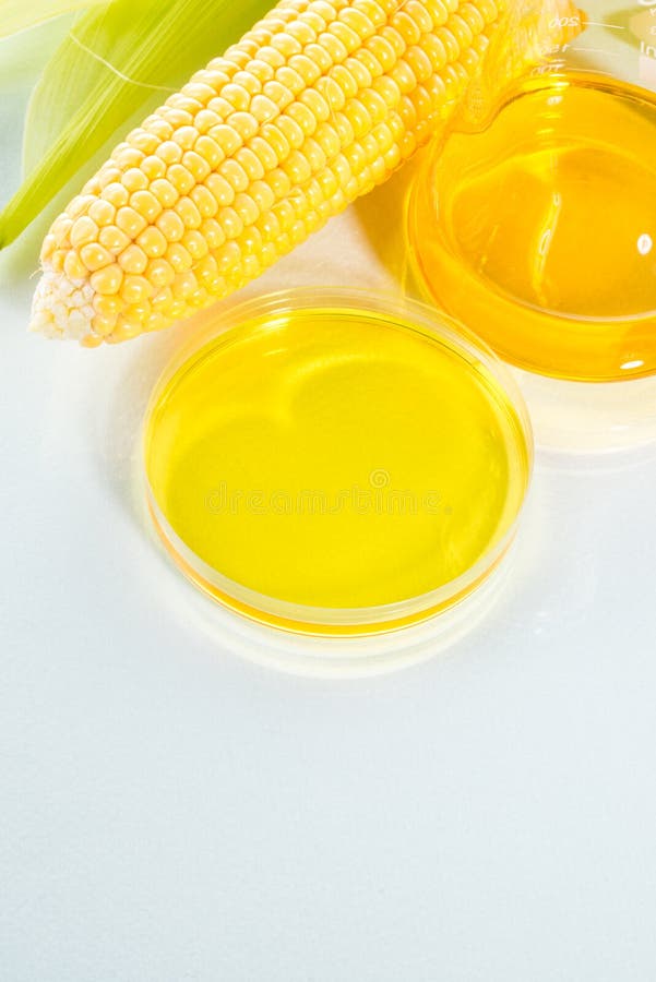 Biofuel or Corn Syrup Sweetcorn Stock Photo - Image of fructose ...