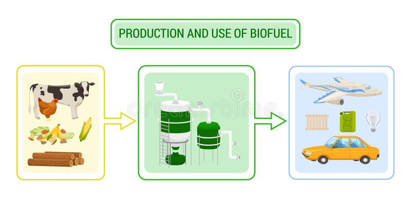Biofuel Production Infographics Stock Vector - Illustration of research ...