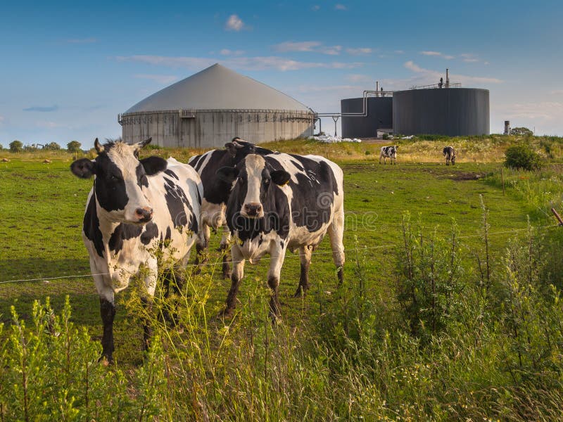 Biogas plant on a farm stock photo. Image of fermentation - 53265386