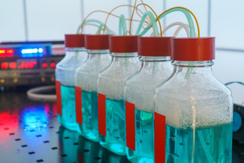 Biohydrogen Production Research Produced by Fermentation. Fermentation ...