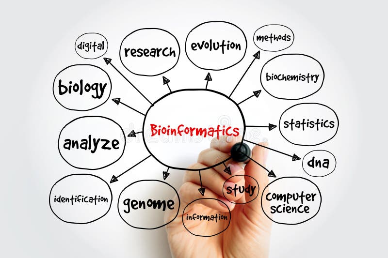 Bioinformatics Mind Map Flowchart Business Concept for Presentations ...