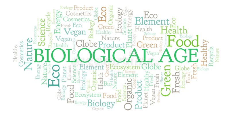 Biological Age word cloud. stock illustration. Illustration of print ...