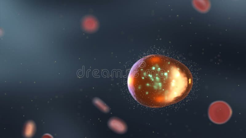 Biological Cell with Thin Film, 3d Rendering Stock Video - Video of ...