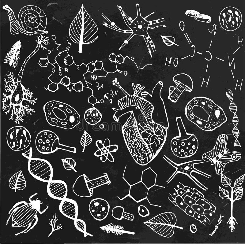 Biological Background Vector Stock Vector - Illustration of buterfly ...