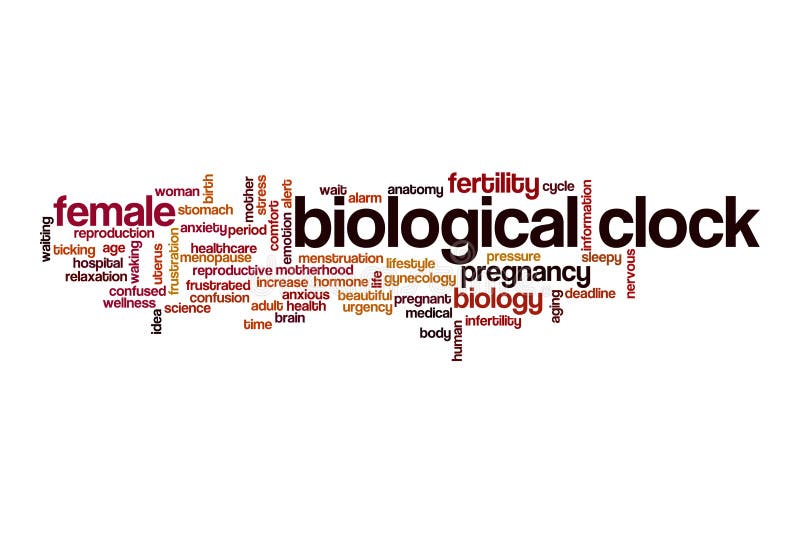 Biological Clock stock vector. Illustration of info, heart - 55580661