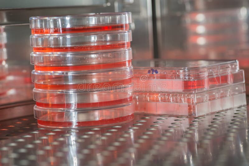Biological Cultures Storage Stock Photos - Free & Royalty-Free Stock ...