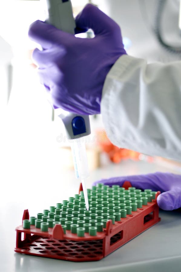 Biological Laboratory Analysis with Pipe Stock Image - Image of science ...