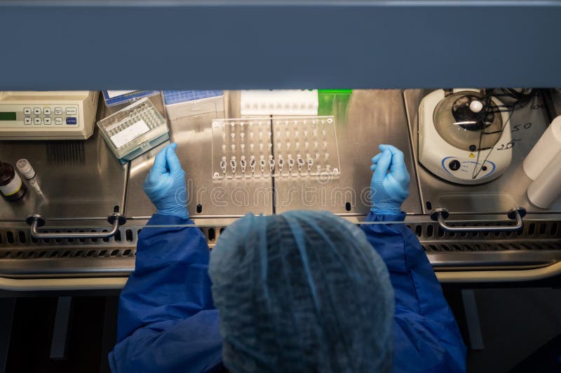 Biological Laboratory Analyzes and Tests Stock Photo - Image of ...