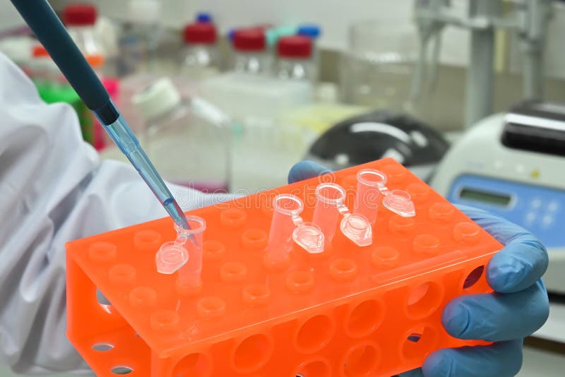 In the Biological Laboratory Stock Image - Image of protective ...