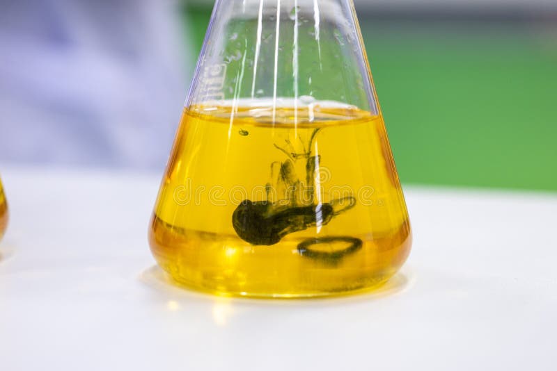 Biological Oxygen Demand BOD Testing Process in Lab. Stock Photo ...