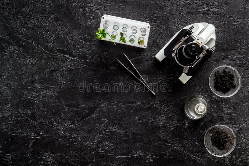 Biological Research. Glass in Test Tubes with Microscope on Lab Table ...