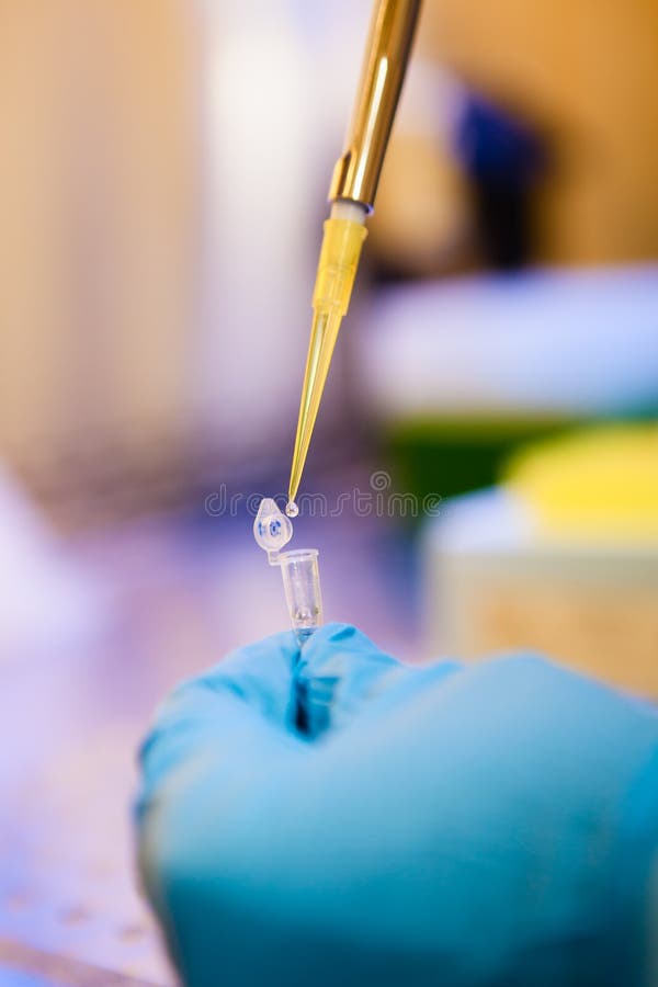 Biological Sample Preparation Stock Photo - Image of science, vial ...