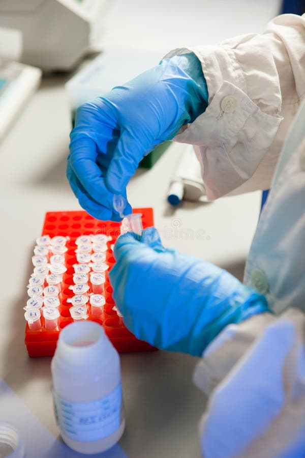 DNA sample preparation stock image. Image of purification - 24831935