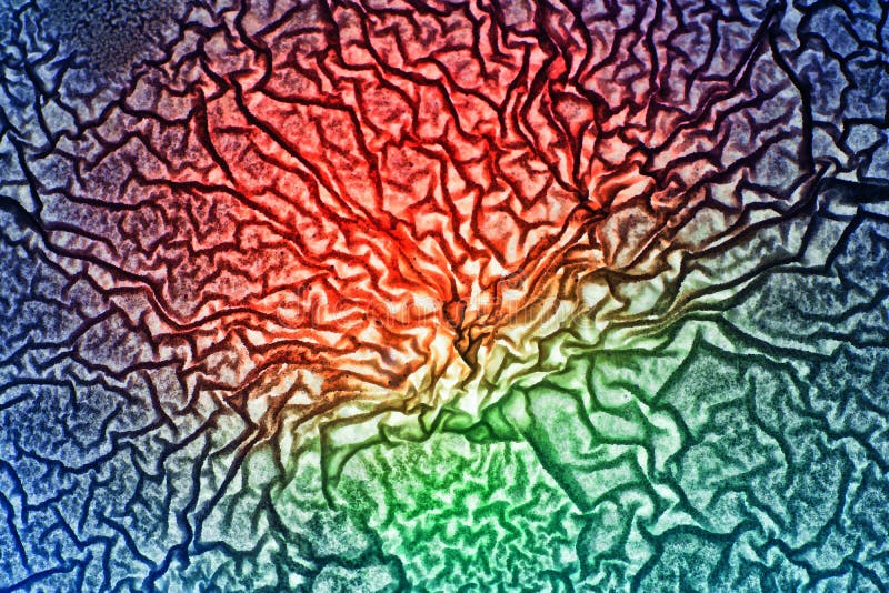 Biological Texture Microscopic. Brain Neural Networks Stock Image ...