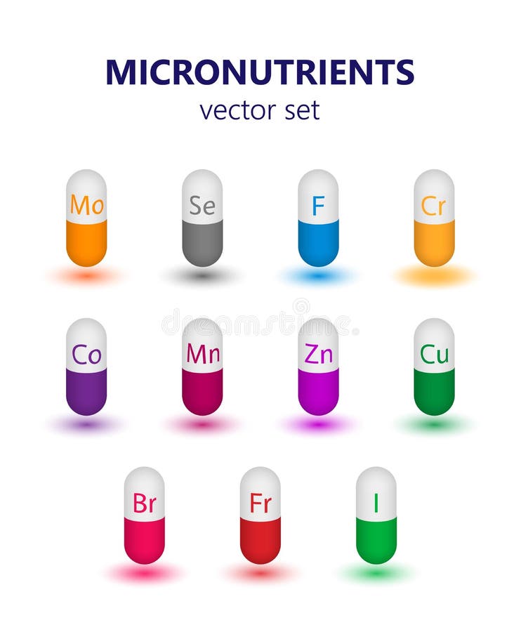 Micronutrient Capsules Stock Illustrations – 44 Micronutrient Capsules ...