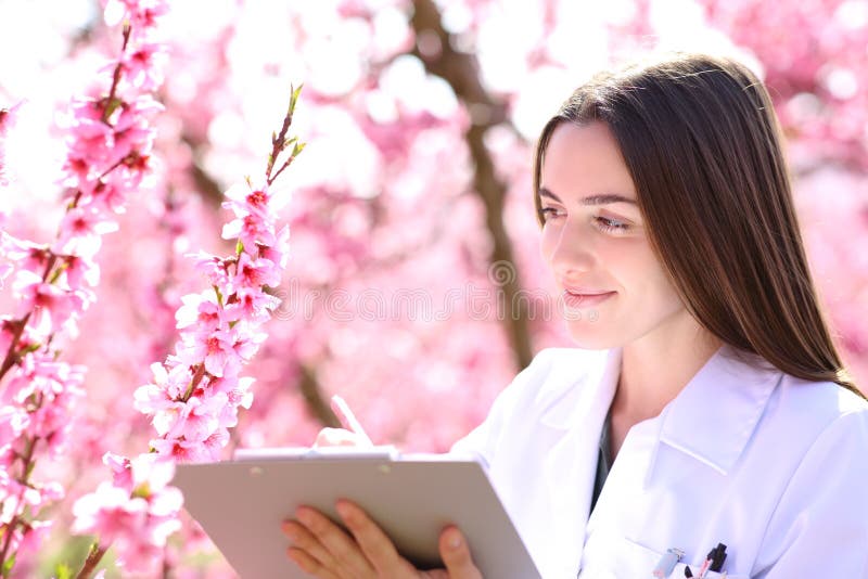Biologist Checking Flowers in Springtime in a Field Stock Image - Image ...