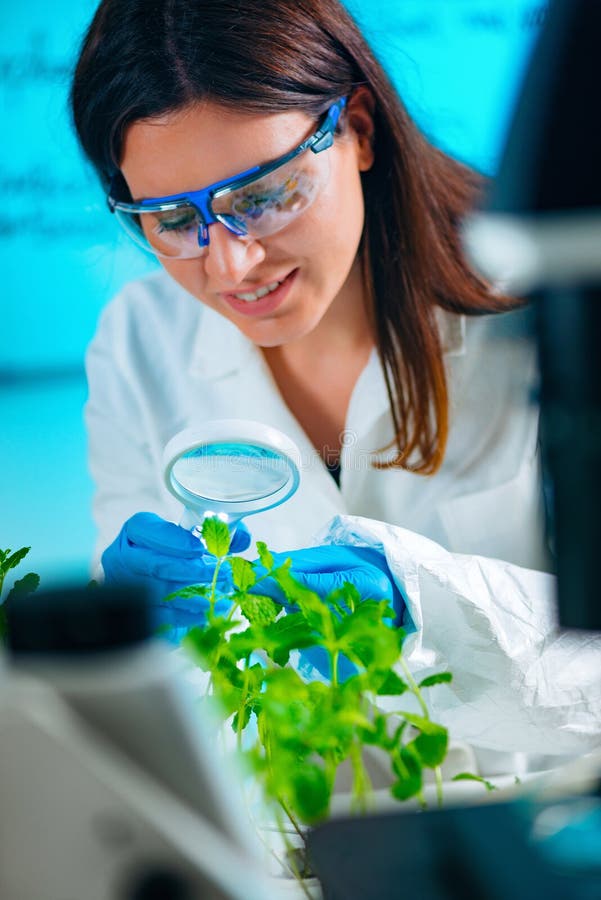 Biologist Examining Samples Stock Image - Image of biochemistry ...