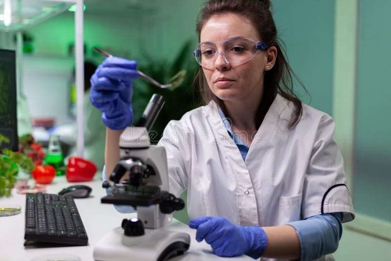 Biologist Expert Woman Analyzing Genetically Modified Leaf Sample Stock ...
