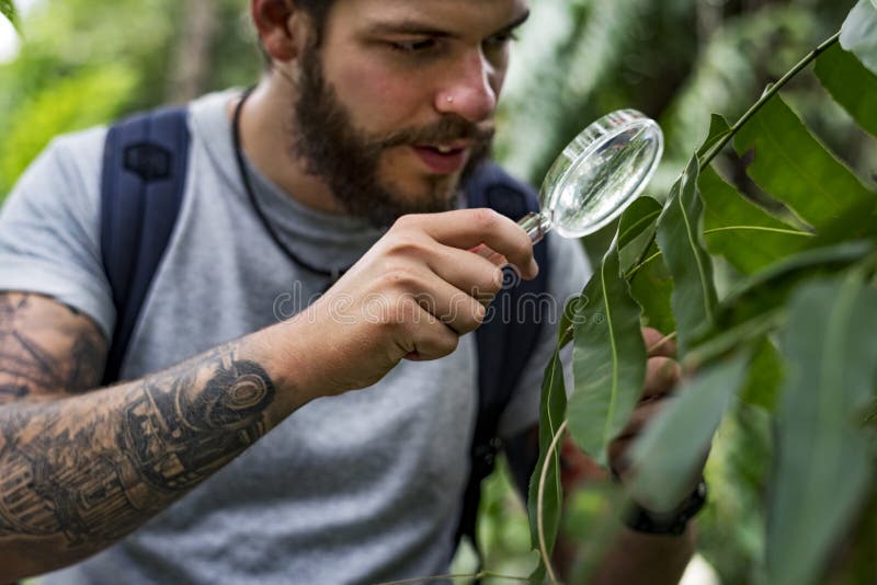 Biologist in a forest stock image. Image of group, activity - 111361943