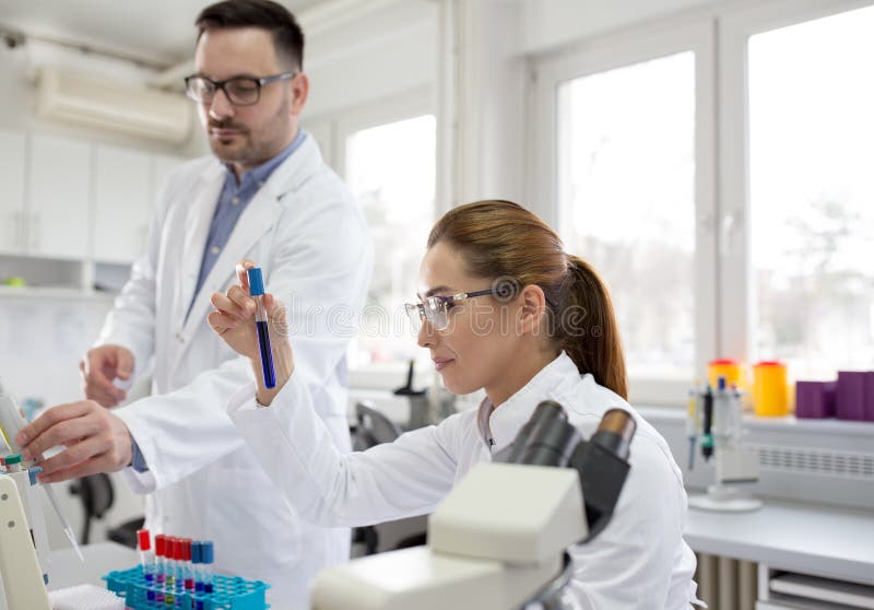 Biologist Looking at Samples in Laboratory Stock Photo - Image of ...
