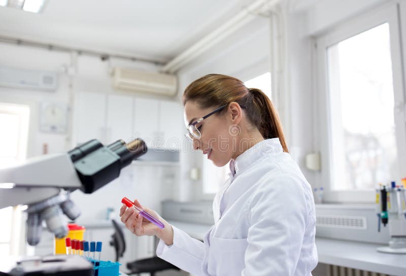 Biologist Looking at Samples in Laboratory Stock Photo - Image of ...