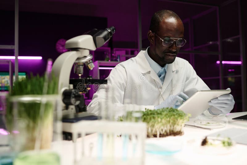 Black Scientist Using Modern Technology at His Workplace in Lab Stock ...
