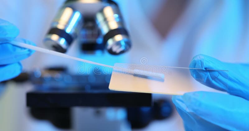 Biologist Scientist Analyzes Smear Sample on Glass Using Microscope ...