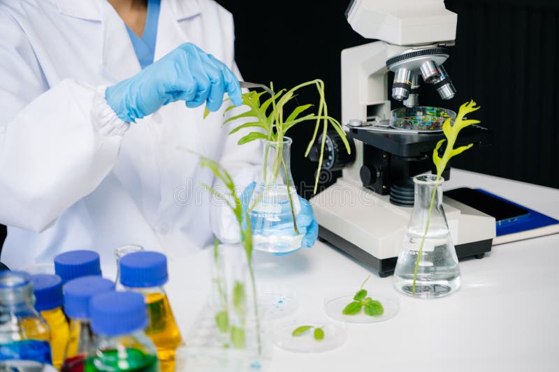 Biologist Taking Experiment with Plants Working in Biochemistry ...