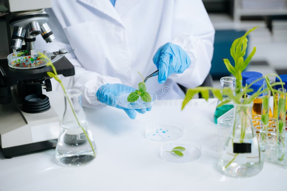 Biologist Taking Experiment with Plants Working in Biochemistry ...
