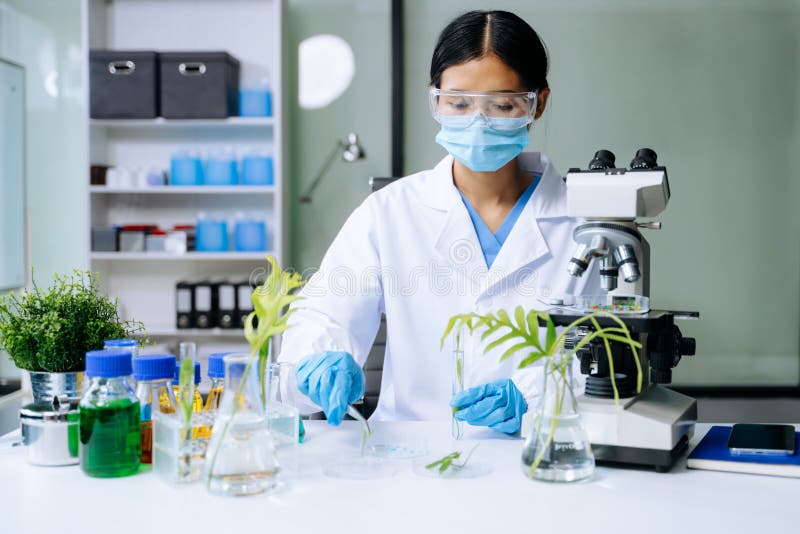 Biologist Taking Experiment with Plants Working in Biochemistry ...