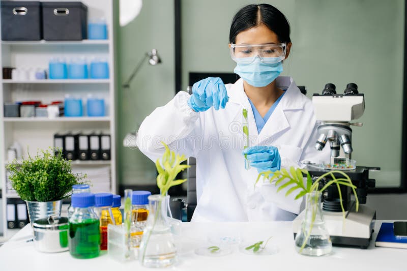 Biologist Taking Experiment with Plants Working in Biochemistry ...
