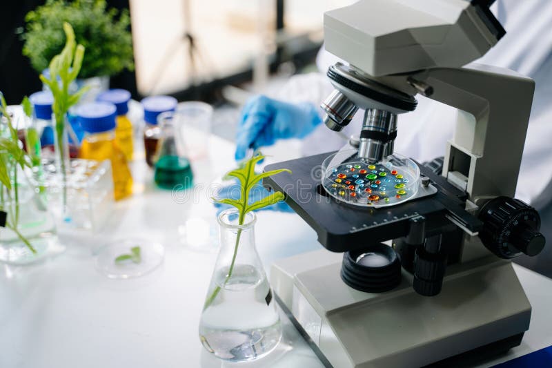 Biologist Taking Experiment with Plants Working in Biochemistry ...