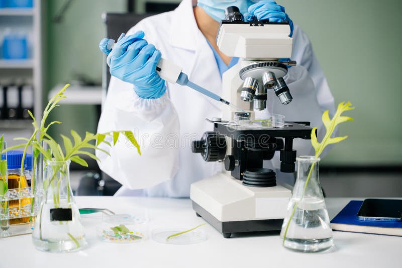 Biologist Taking Experiment with Plants Working in Biochemistry ...