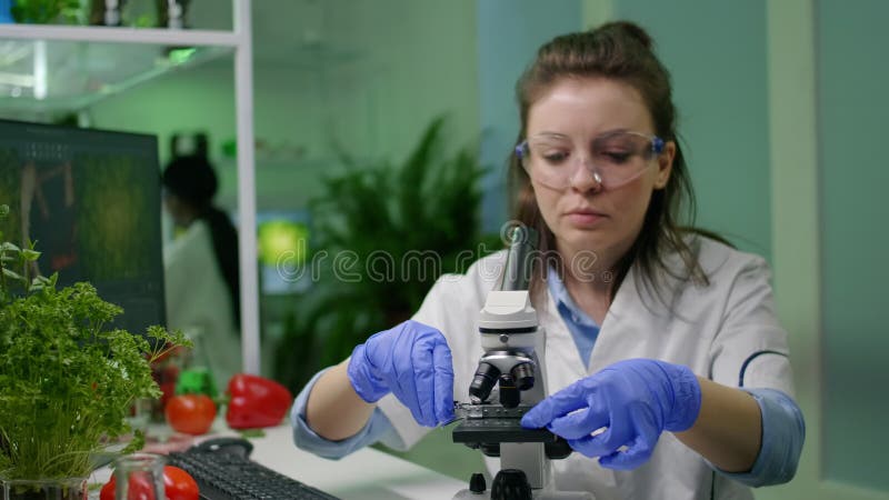Biologist Taking Green Leaf Sample Putting Under Microscope Stock Video ...