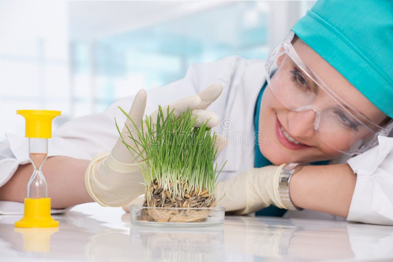 Biologiste de femme photo stock. Image du découverte - 44393208