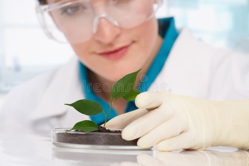 Biologiste De Femme Avec Des Usines Image stock - Image du scientifique ...
