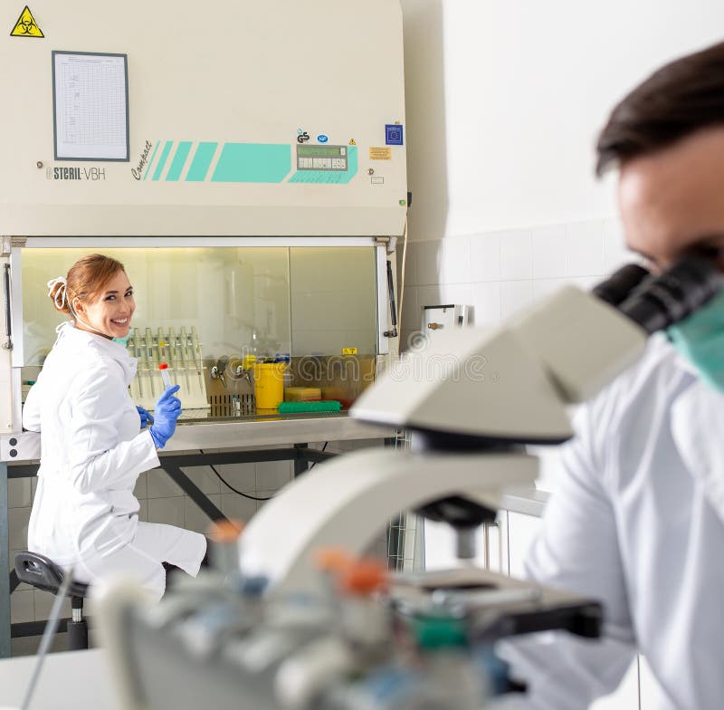 Biologists Examining Samples in Laboratory Stock Photo - Image of ...