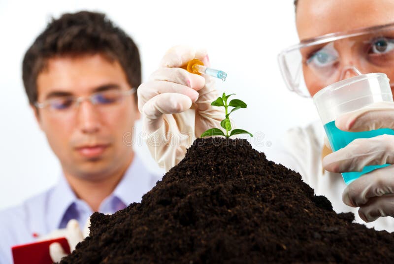 Biologist at work stock photo. Image of container, glasses - 15387034